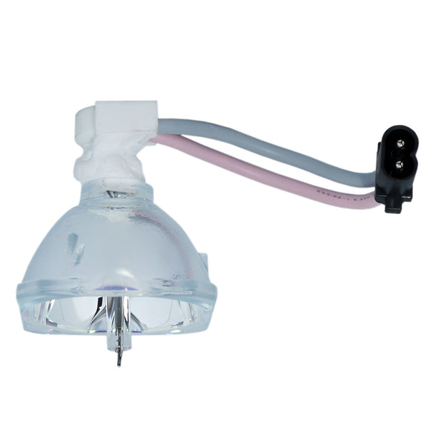 103305-3_8449a69d-4824-4531-9ed9-384ee8db2d1b_grande.jpg?v=1659004808