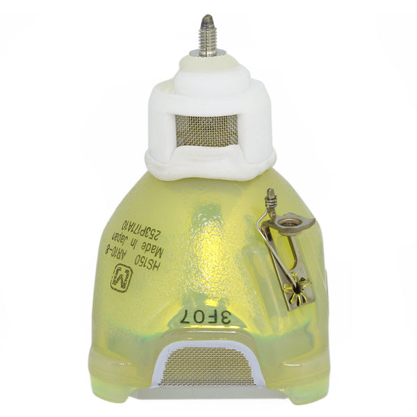 103441-3_grande.jpg?v=1674760844